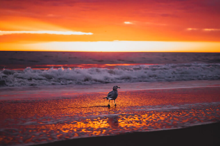 Greensboro College Art to host Exhibit by Graduating Senior ...